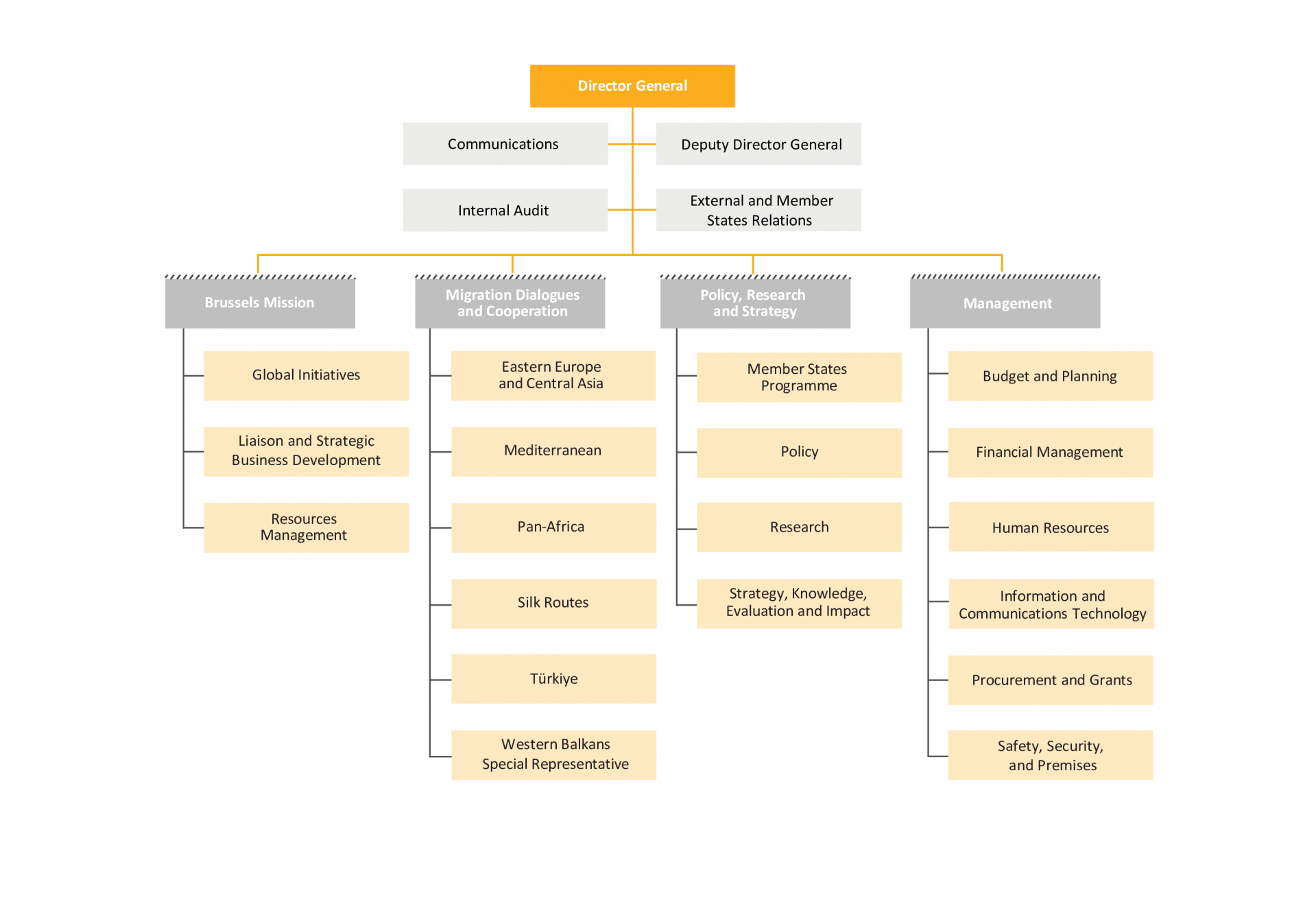 The Organisation - ICMPD
