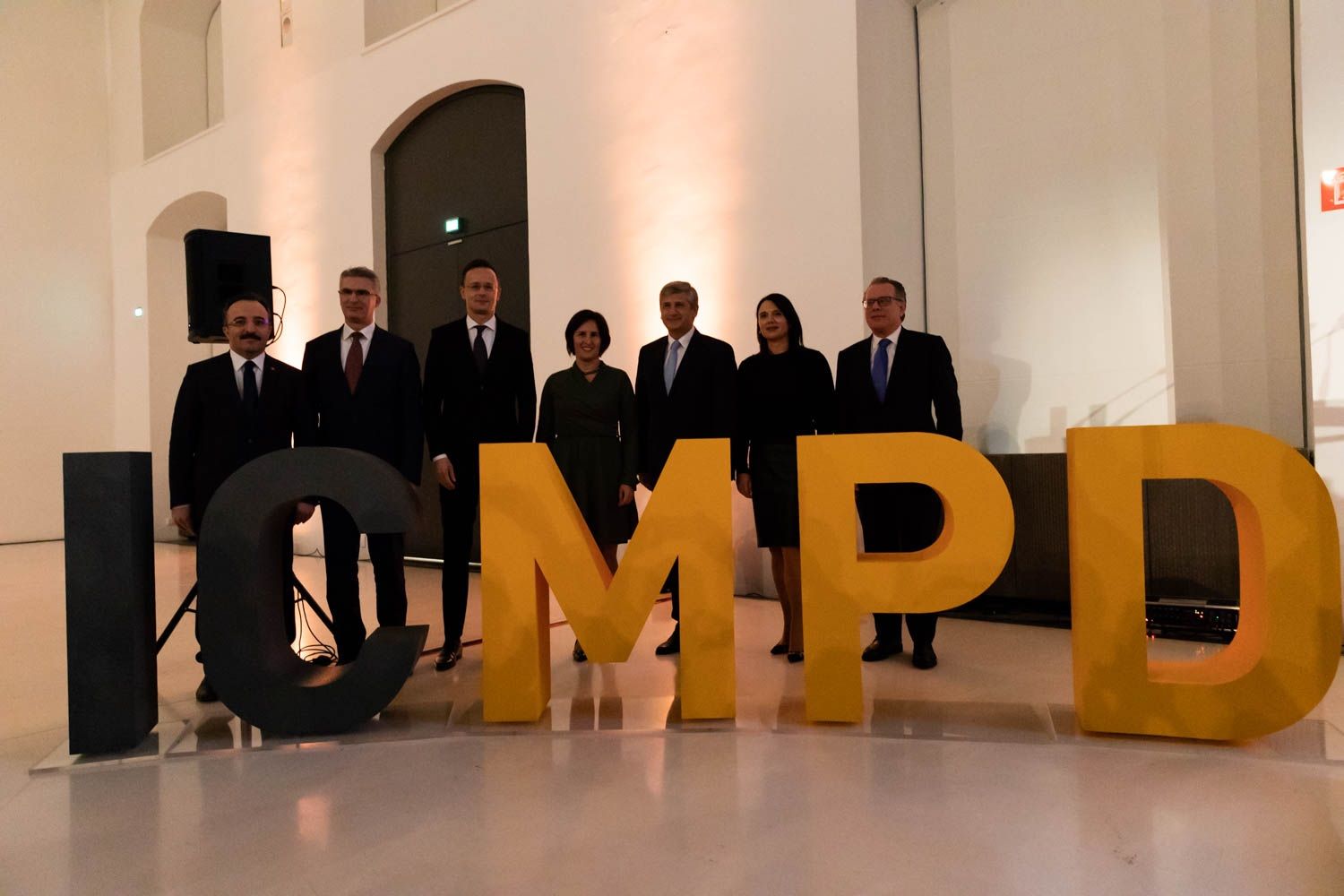 Director General - ICMPD