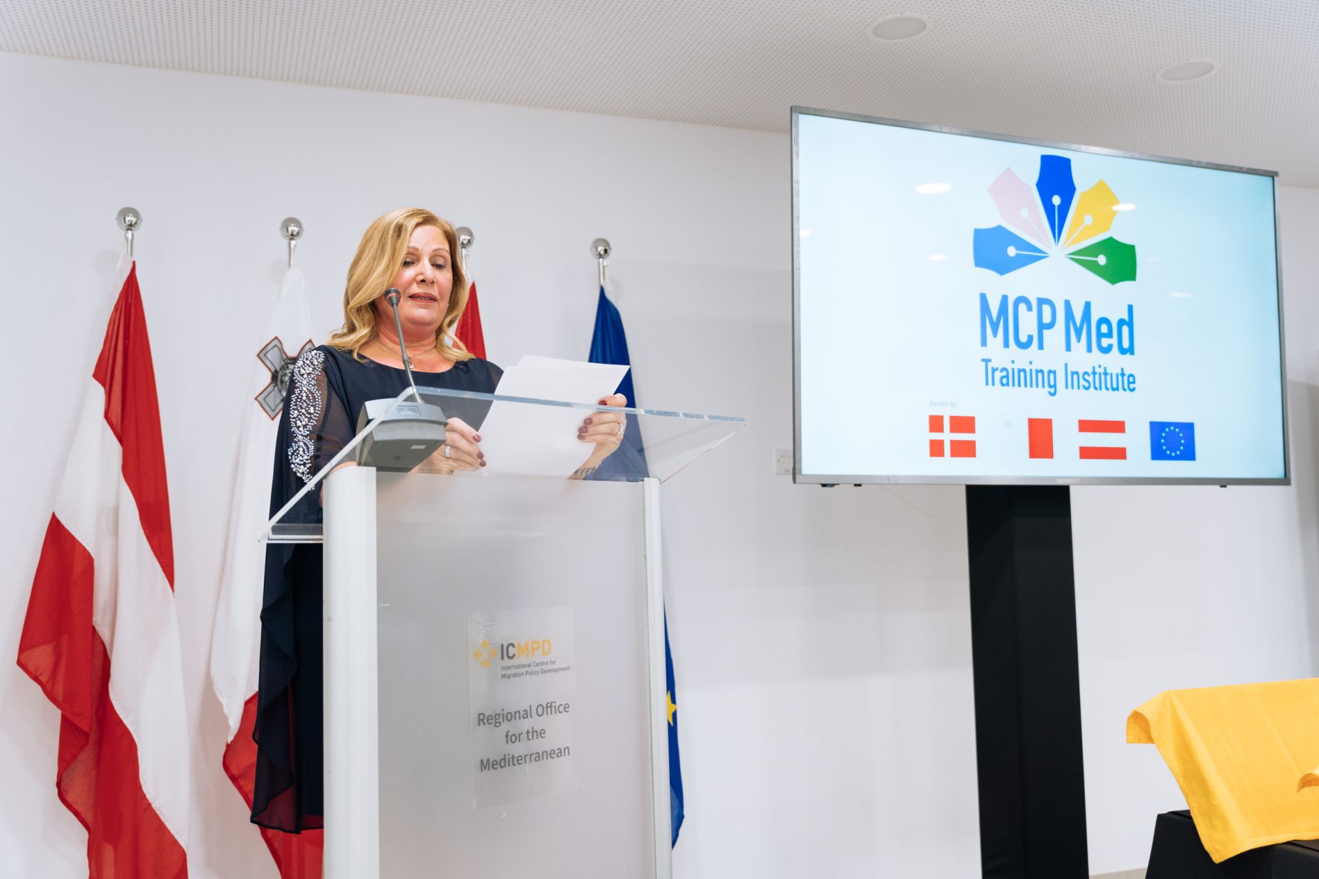 Training Institute on Migration Capacity Partnership for the ...