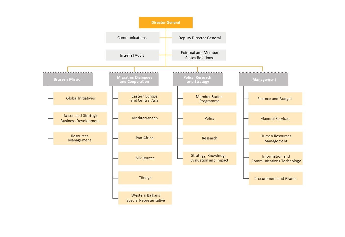 The Organisation - ICMPD